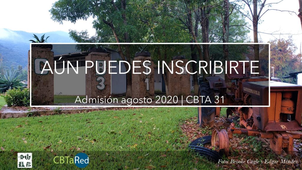 Inscripciones Modalidad Escolarizada – CBTA 31